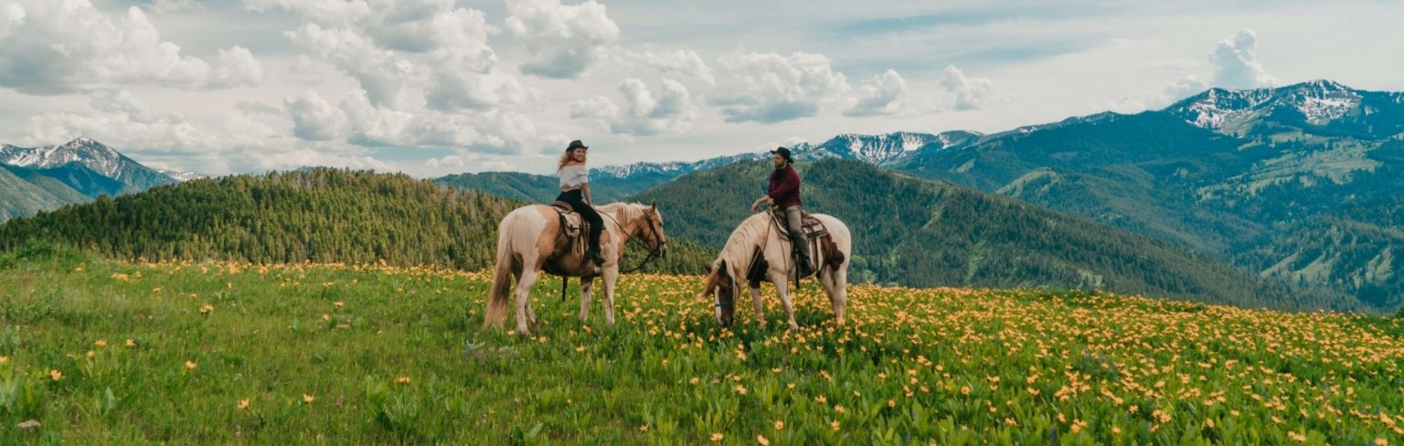 Jackson Hole Horseback Riding Options and Pricing