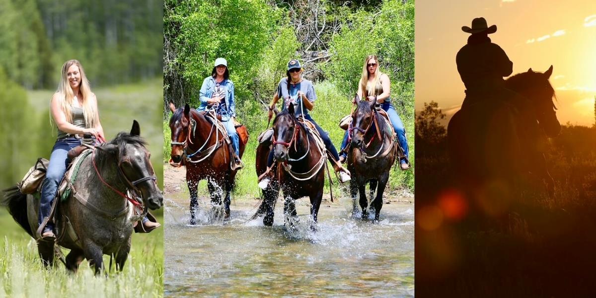 Horseback Riding Jackson Hole Wyoming | Willow Creek Horseback Rides